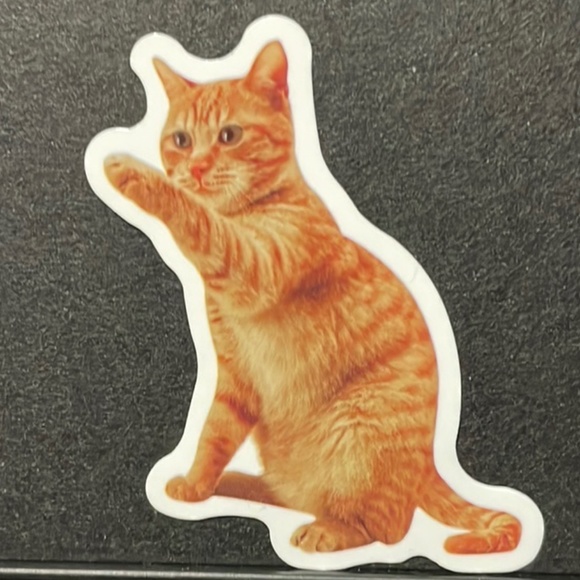 Design | Orange Cat Sticker | Poshmark
